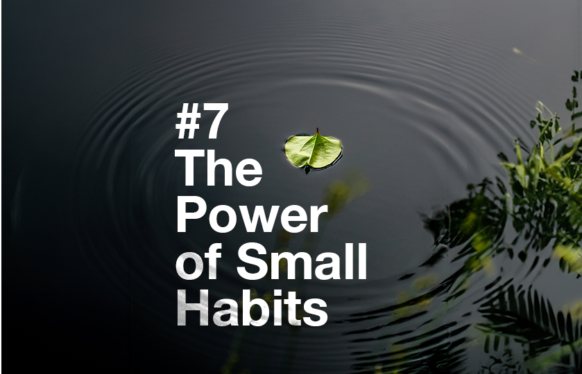 Small Habits, Big Impact: Transform Your Life One Step at a Time